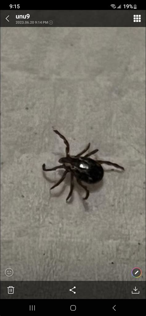Tick Identification Rticks