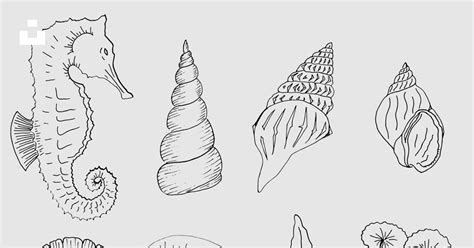 다양한 바다 생물과 조개껍데기의 스케치가 표시됩니다 벡터 Unsplash의 무료 바다 이미지