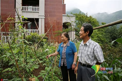 七旬退休乡村教师爱种地 秦岭大山里盖别墅种田 搜狐大视野 搜狐新闻