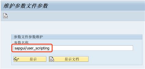Sap Gui
