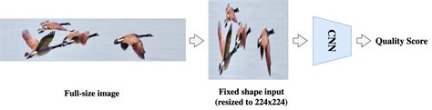 Musiq Assessing Image Aesthetic And Technical Quality With Multi Scale