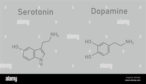 Dopamine And Serotonin Molecular Structure Scientific Vector Illustration Isolated On Grey