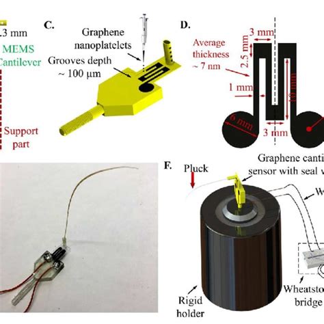 The Design And Prototype Of The Cantilever Sensor A And B The