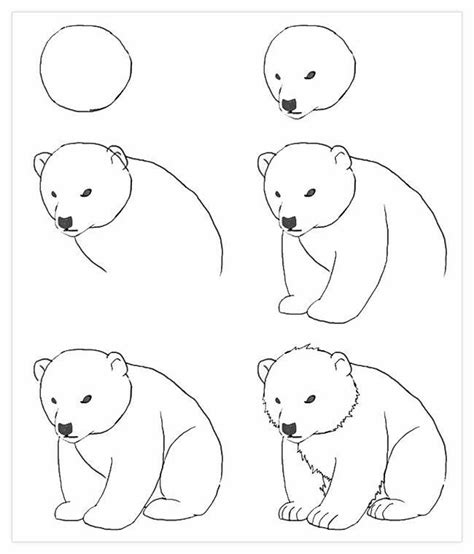 Pin von RolPrikol auf медведи bears Zeichnungen Zeichnen Zeichnen