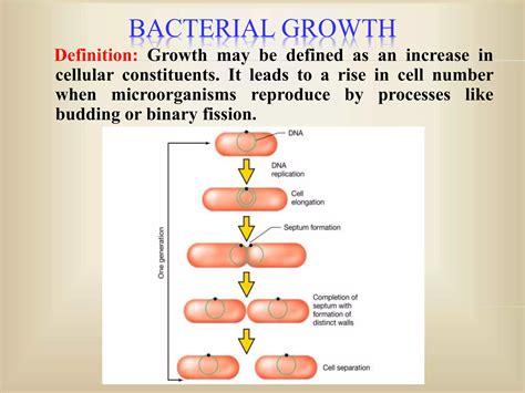 Bacterial Growth Curve Ppt Biological Sciences Science