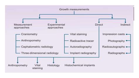 Growth And Development And Principles Of Craniofacial Region Pptx