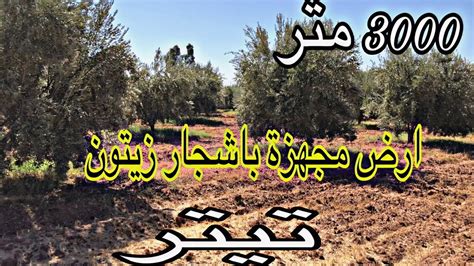 ارض للبيع نواحي مراكش تيتر فونصي Youtube