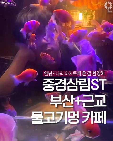 부산에서 뭐 하지 부산맛집 부산카페 부산여행 부산가볼만한곳 저 0000에서 내려요★ 라고 말하기 조금