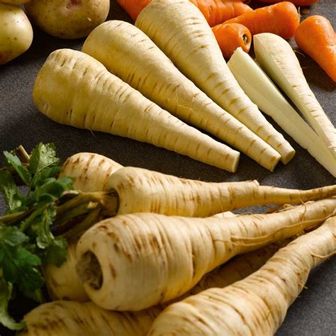 Parsnip Tender And True Seeds Suttons