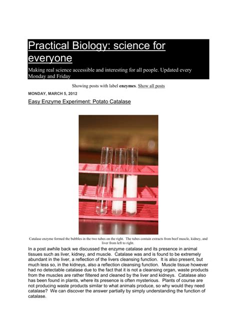 A Simple Catalase Experiment Using Potatoes Some Plants Such As