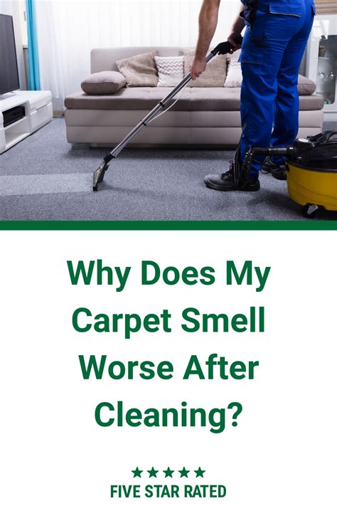 Carpet Smell Artofit