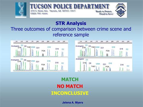 Ppt Forensic Dna Analysis Jelena A Myers Senior Criminalist Dna Powerpoint Presentation