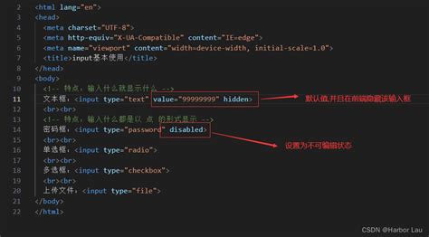 前端表单input的简单使用前端输入数据 Csdn博客