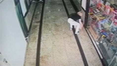 Câmera De Segurança Flagra Abandono De Filhotes De Cães No Centro De