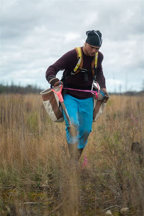 Community Driven Land Restoration In Manitobas Boreal Forest Tree Canada