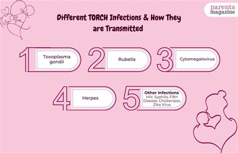 What Is Torch Infection How Does It Affect Pregnancy