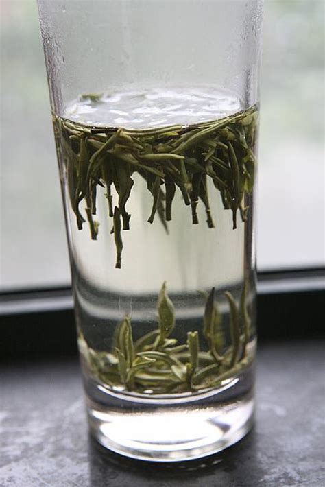 上海のお茶市場で中国十大名茶を試飲してきました 上海ナビ