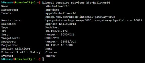 Mapping Kubernetes Services To HPE Ezmeral Runtime Enterprise Gateway HPE Developer Portal