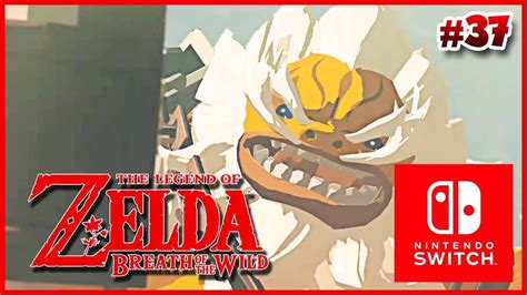 Het Lied Van Daruk Zelda The Champions Ballad Dlc2 37 Rickachu Youtube