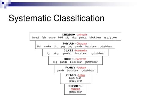 Ppt Gen Bio Ii Powerpoint Presentation Free Download Id6685184 Ppt Gen Bio Ii Powerpoint Presentation Free Download Id6685184