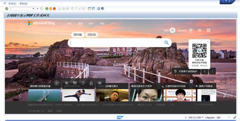 Sap Gui中显示pdf文件或网页 夜猫君