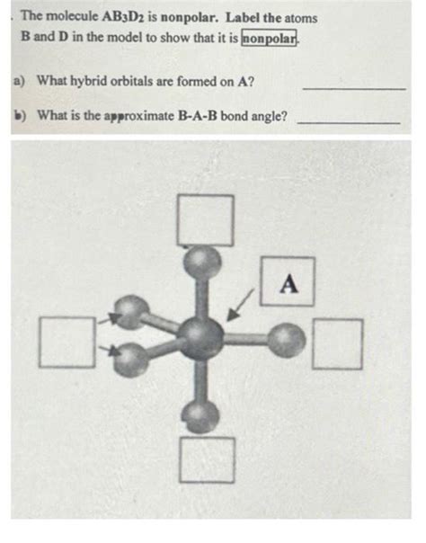 Solved The Molecule Ab D Is Nonpolar Label The Atoms B And Chegg