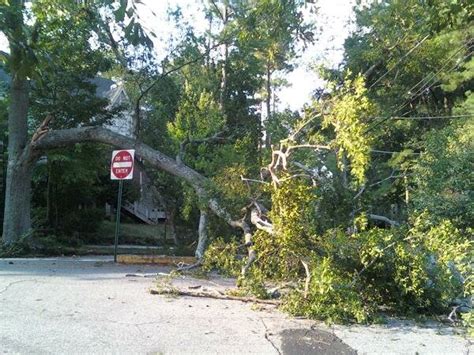 Decatur Metro Decatur Trees Down