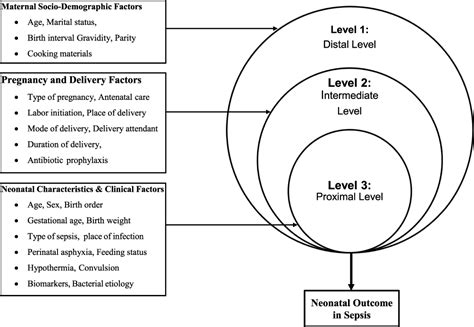 Hierarchical Predictors Of Mortality From Neonatal Sepsis Jmdh