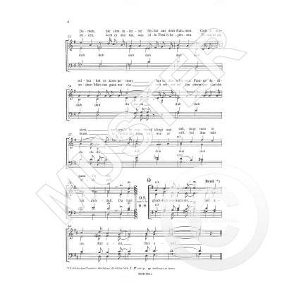 Bel ami Du hast Glück bei den Fraun Notenbuch de