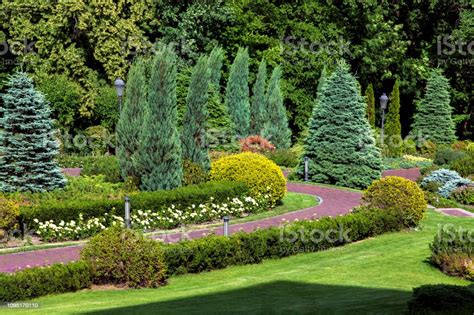 조 경 디자인 및 걷는 경로 산책 꽃과 꽃 침대 Thuja 소나무 나무와 숲 공원 0명에 대한 스톡 사진 및 기타 이미지 0
