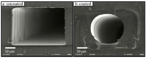 Scanning Electron Micrographs Of Cross Sections Of A Uncoated And B