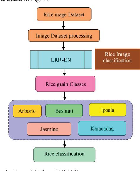Figure 1 From Learning Rate Regularized EfficientNet Based Rice Grain