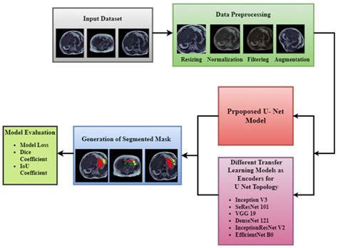 bioengineering free full text u net model with transfer learning model as a backbone for