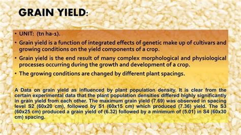 Yield Contributing Character Of Maize Pptx