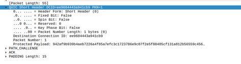 Bug Fixed Bit In Short Headers Is Not Properly Checked · Issue 1394