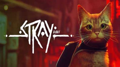 Stray requisitos mínimos e recomendados para rodar no PC