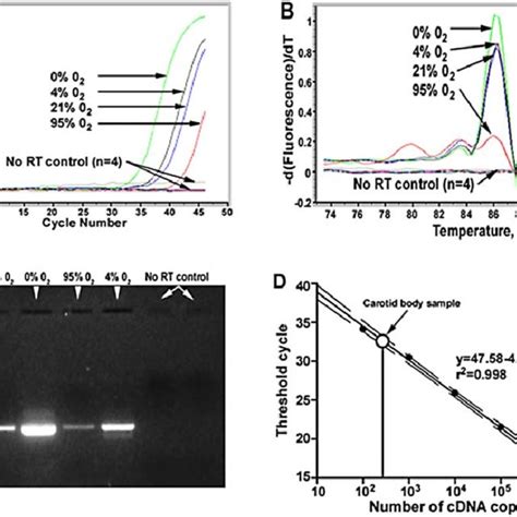 Quantification By Real Time Pcr Of Hif 1a Mrna Expression In In Vitro