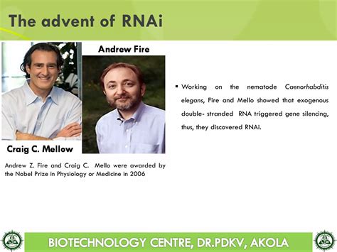 Rna Interference In Insect Pest Management Pdf