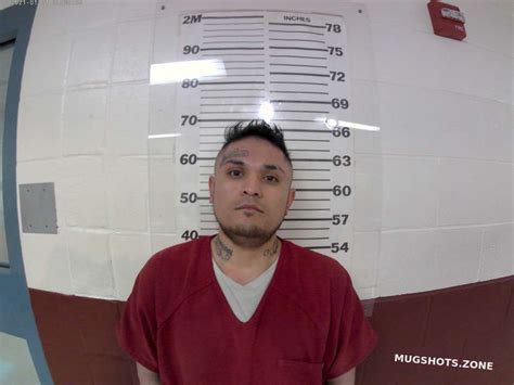 PEREZ MORALES JUAN MANUEL Henderson County Mugshots Zone