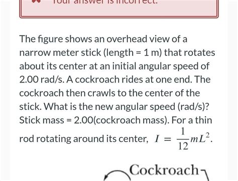 University Physics Angular Momentum Rhomeworkhelp