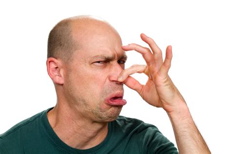 Why Does My Room Smell Like Bad Breath At Albert Streets Blog