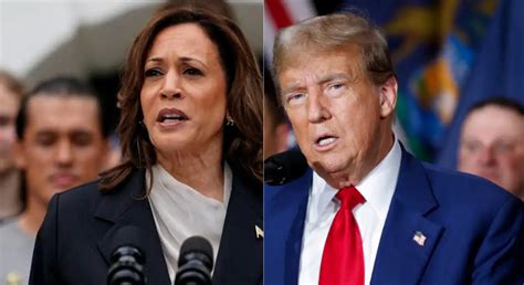 Kamala Tem 51 Das Intenções De Voto Trump 48 Diz Nova Pesquisa