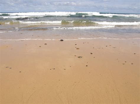 Thirroul25 By Rob Bugden On Deviantart