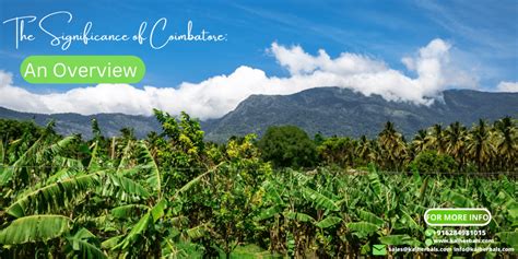 Ayurvedic Medicine Manufacturers In Coimbatore Kai Herbals