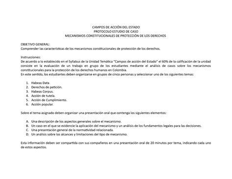 Protocolo De Estudio De Caso Campos De AcciÓn Del Estado Protocolo