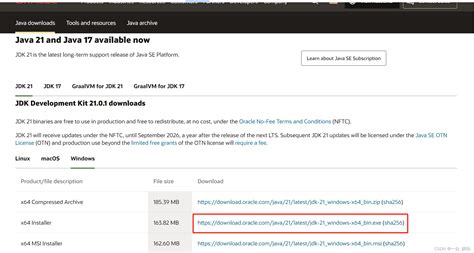 Jdk21 For Windows 环境变量配置jdk21环境变量配置 Csdn博客