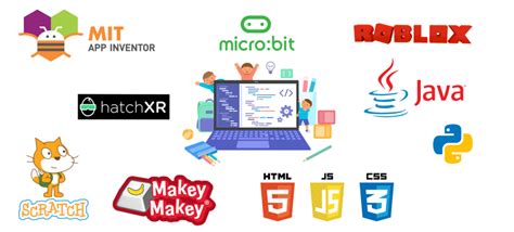 The Journey From Beginner To Pro Tailored Coding Pathways At SkoolOfCode