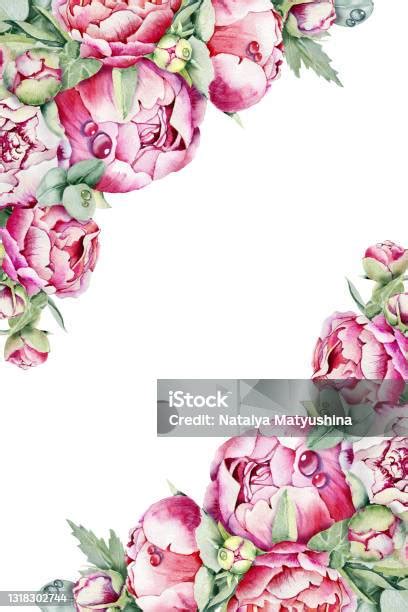 수채화 프레임 꽃 꽂이 모란 꽃의 꽃다발 흰색 배경 고해상도에 격리 된 손으로 그린 그림 웨딩 카드 커버 축하 디자인 0명에 대한 스톡 벡터 아트 및 기타 이미지 Istock