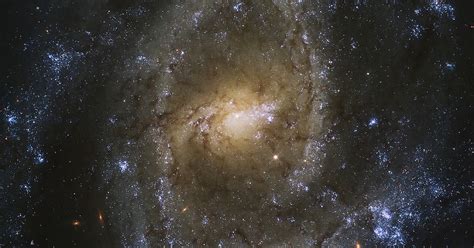 Jean Baptiste Faure Barred Spiral Galaxy Ngc 2835