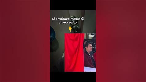 သစ္စာရှိသော အမျိုးသားကောင်းလေး ဟိန်းဝေယံ Youtube